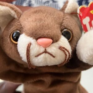 Ty | Toys | Pounce The Cat Ty Beanie Babies Pounce Cat First Beanie ...
